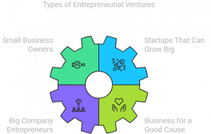 The 4 Types of Entrepreneurial Ventures Explained